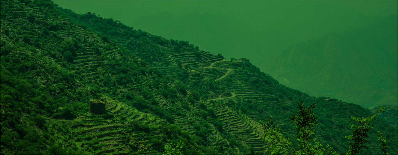 هيئة تطوير منطقة عسير » أرض